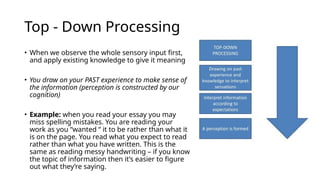 2. Perception in processing and interpreting sensory information.pptx
