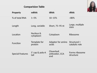 The functions of different RNA types (mRNA, tRNA, rRNA). | PPTX