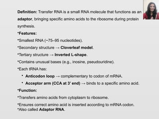 The functions of different RNA types (mRNA, tRNA, rRNA). | PPTX