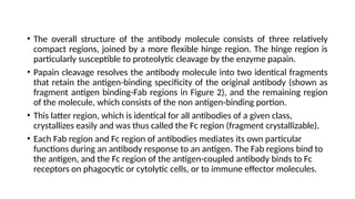 2. Receptors and signaling lctr 2.pptx.. | PPTX