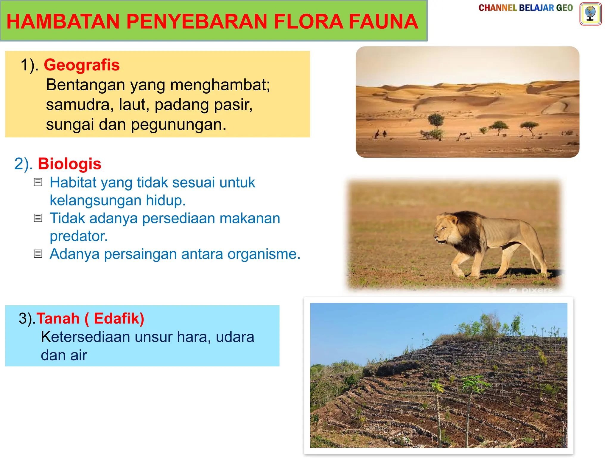 2. Faktor Persebaran flora Fauna klsppsx | PPSX