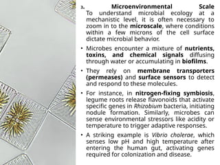 2. History and Scope of Microbial Ecology Thirunahari Ugandhar.pptx