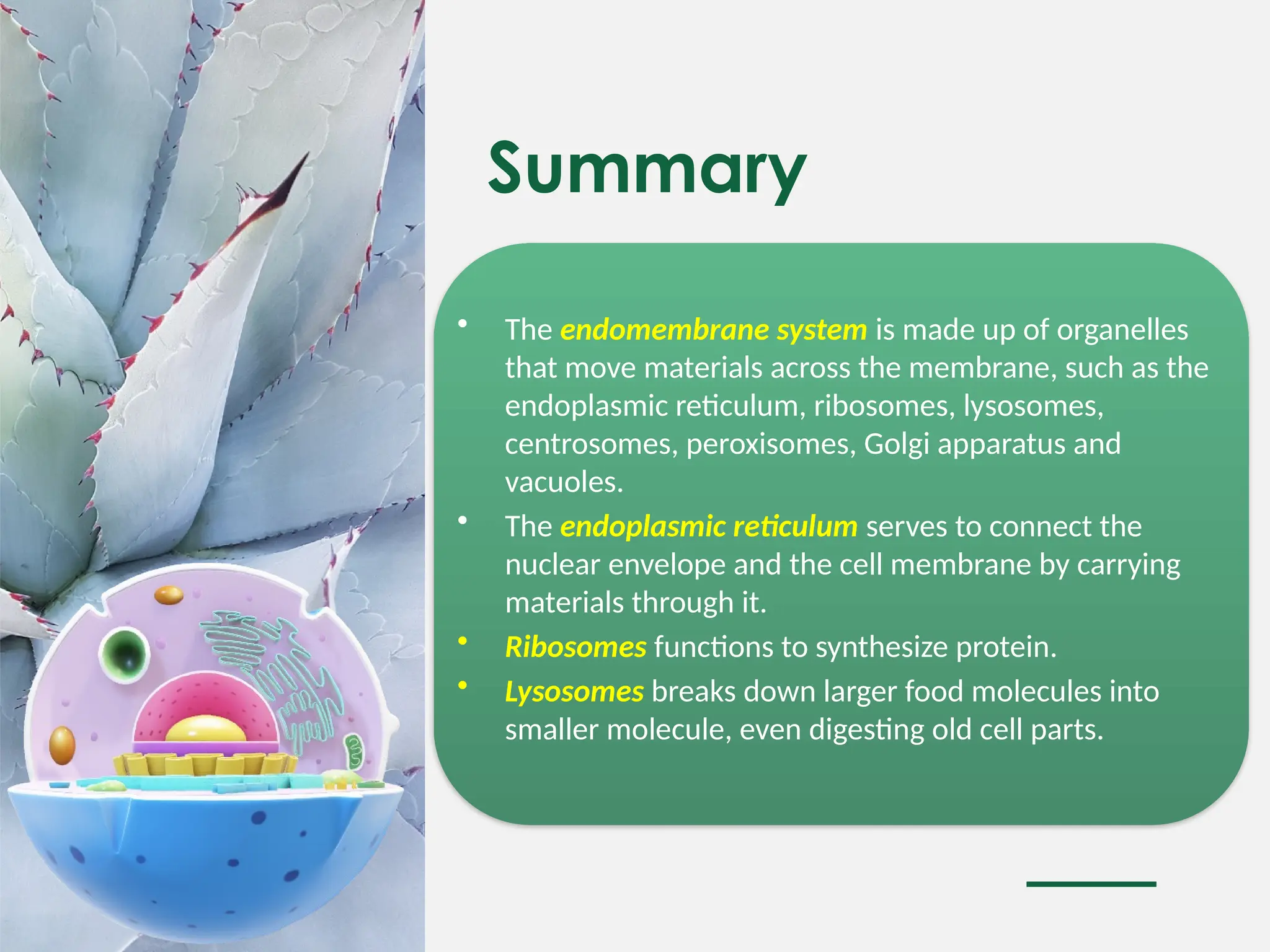 2. Cell Structures and Functions and gen bio.pptx
