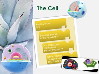 2. Cell Structures and Functions and gen bio.pptx