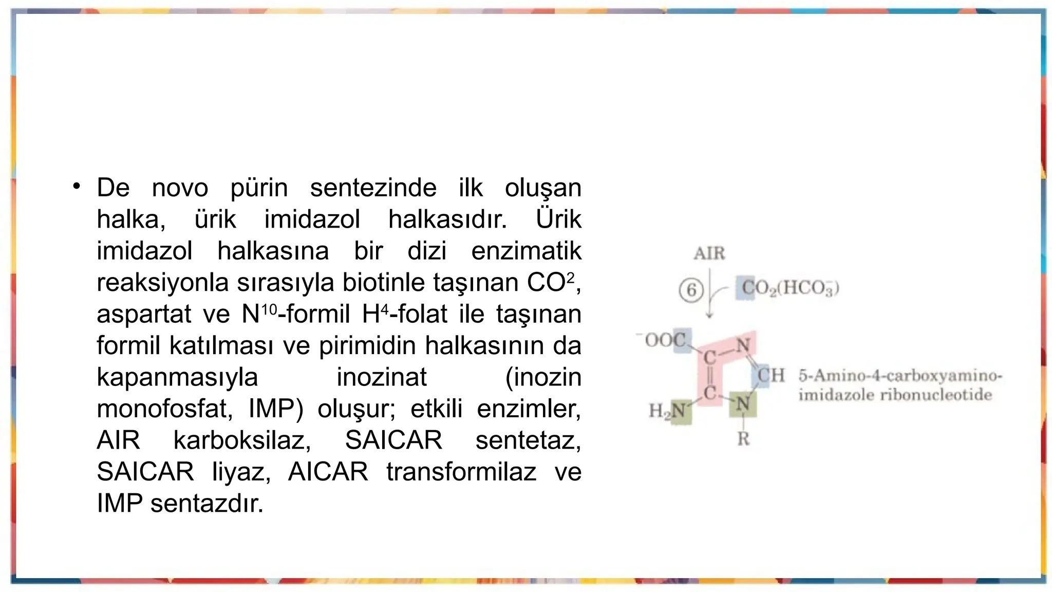 2.HAFTA-PÜRİN NÜKLEOTİDLERİN METABOLİZMASI.pptx
