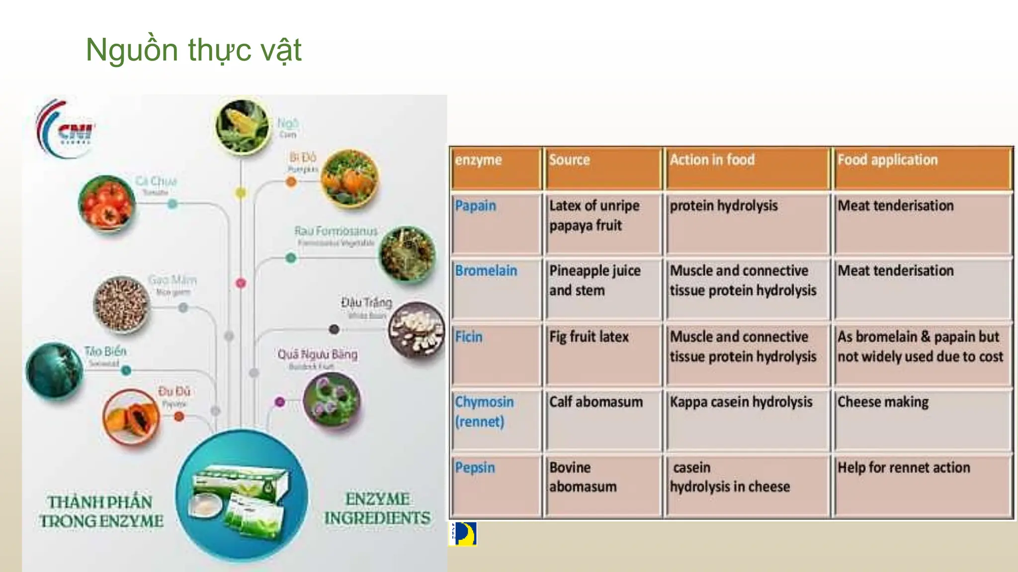 2.-Nguồn-nguyên-liệu-sản-xuất-chế-phẩm-enzyme [Autosaved].pdf