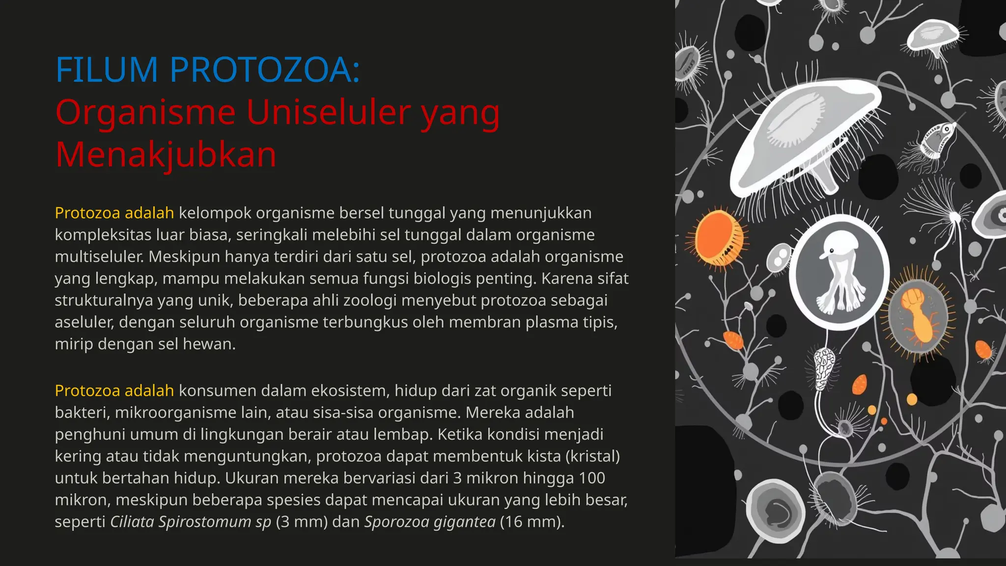 2. FILUM-PROTOZOA Organisme Uniseluler yang menakjubkan.pptx