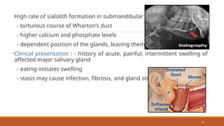 salivary gland salivary gland salivary gland salivary gland | PPTX