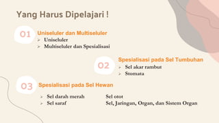 semau nya ipas dan karakrter maunisa dan hewan | PDF