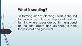 2.2 Procedures for seeding.agri crop productionpptx | PPTX