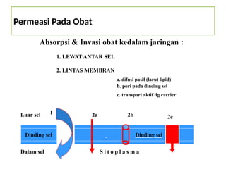 2. Konsep absorpsi obat pada makanan.pptx