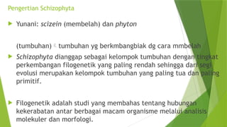 2. Sistematika Tumbuhan Rendah_Cyanophyceae..pptx