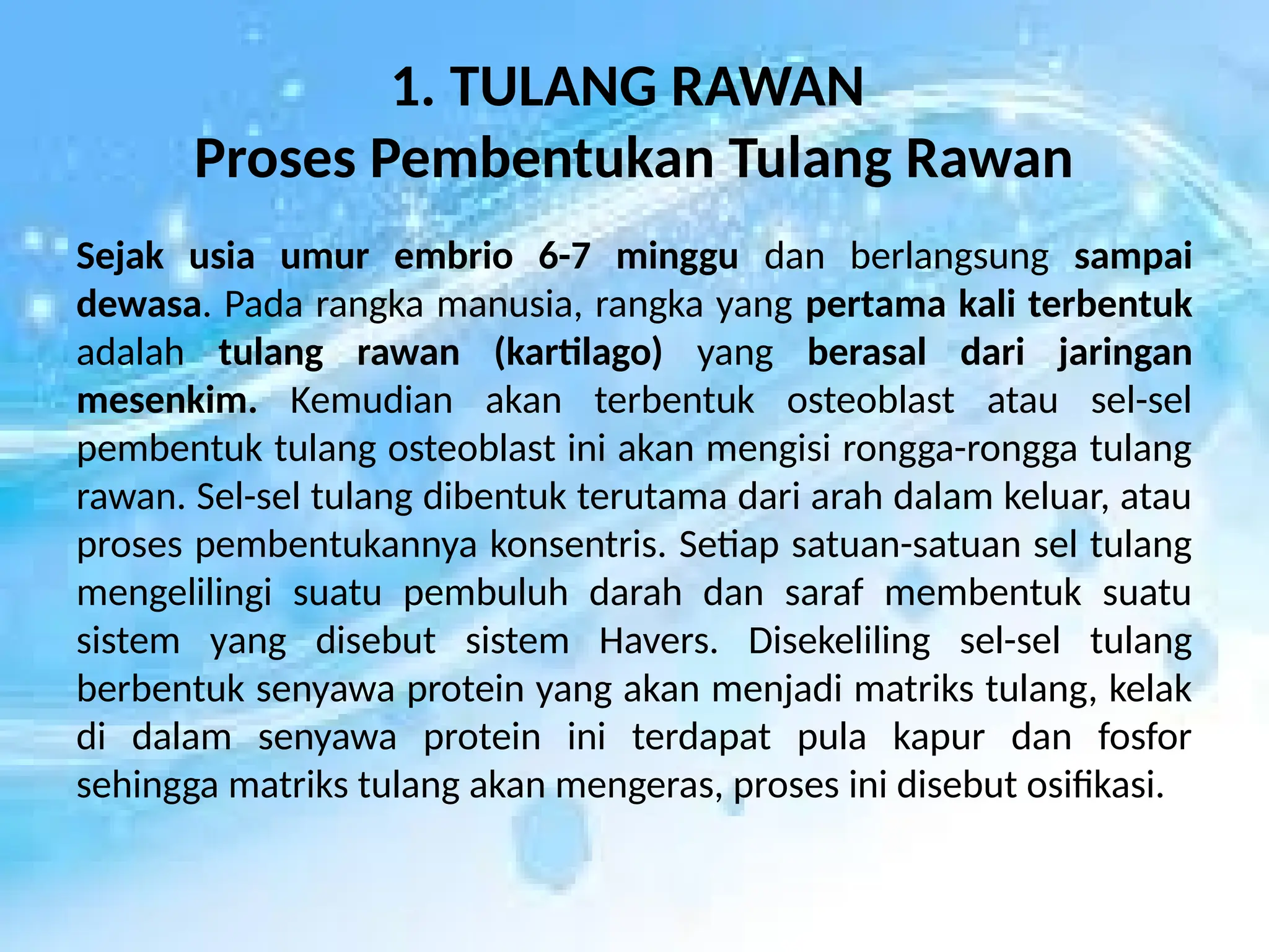2. SISTEM MUSKULOSKELETAL Anfis Kebidanan.pptx