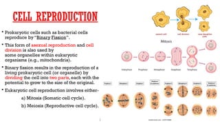 STRUCTURE AND FUNCTION OF CELL PART 2.pptx