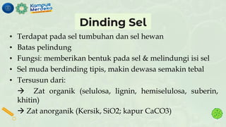 Sel tumbuhan, jaringan tumbuhan, organel tumbuhan | PDF