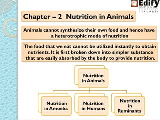 Nutrition in animals cbse class seven science | PPTX