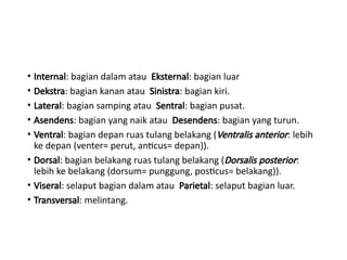 2.1. Istilah Anatomi - Pembagian Area Tubuh (1).pptx