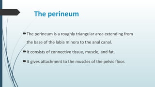 2.1 Anatomy and physiology of female reproductive system-1.pptx