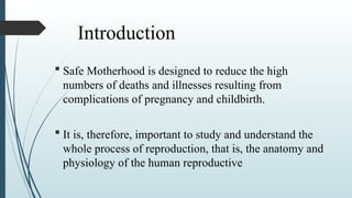 2.1 Anatomy and physiology of female reproductive system-1.pptx