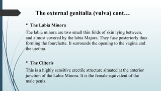 2.1 Anatomy and physiology of female reproductive system-1.pptx