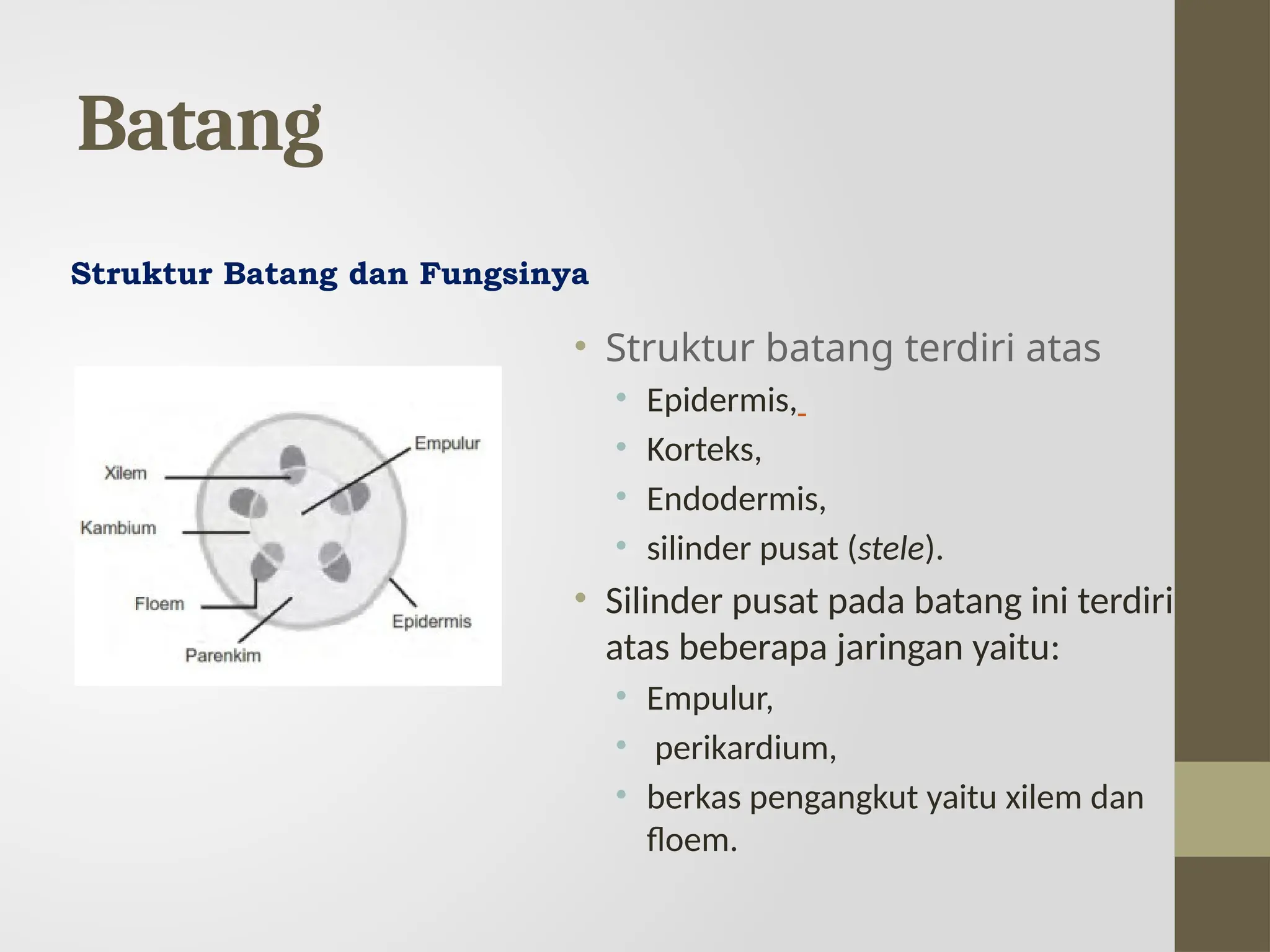 Struktur Pohon/Anatomi Pohon_Fisiologi Pohon | PPTX