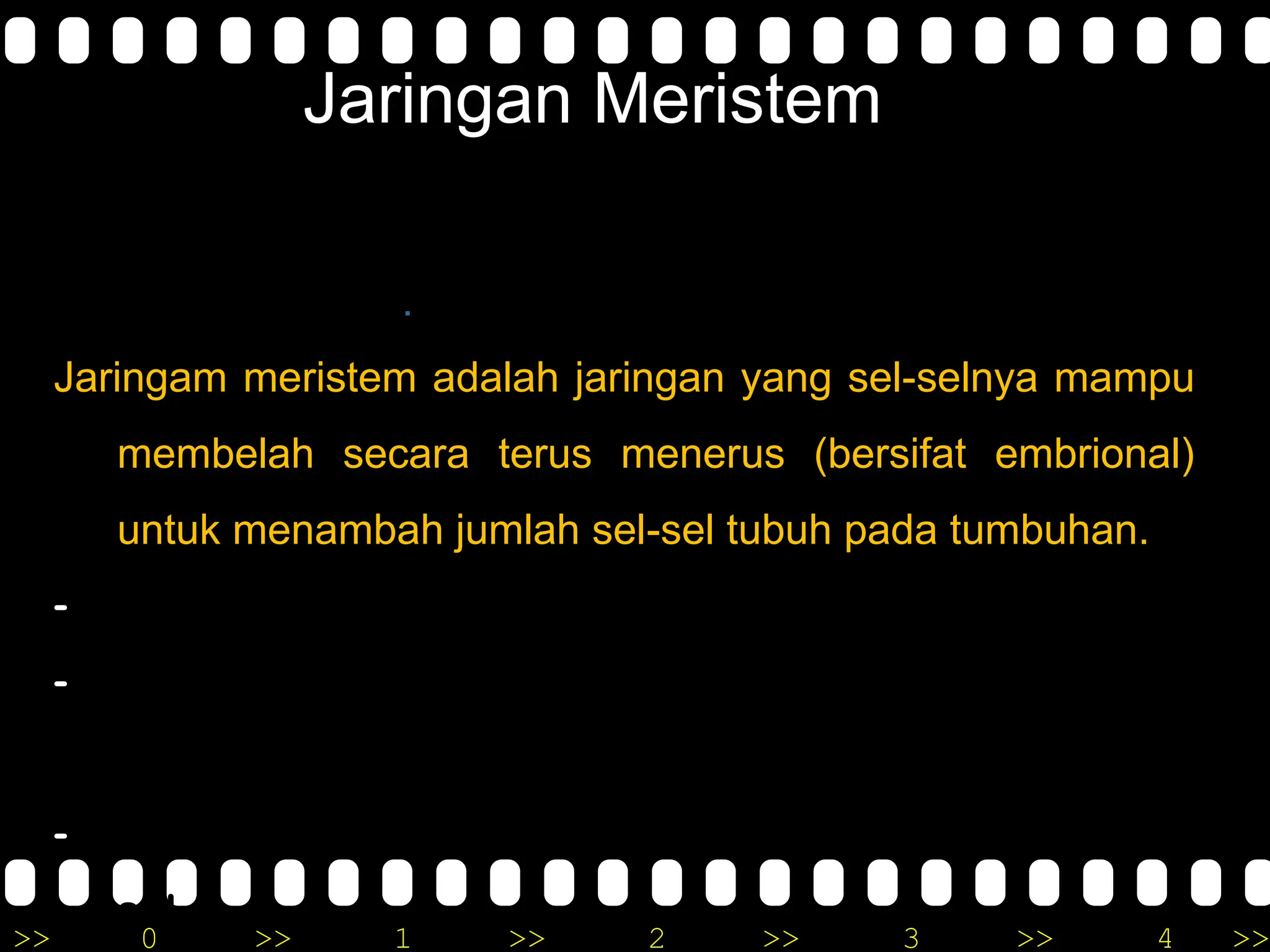 Materi Kuliah jaringan-meristem pada tumbuhan.ppt