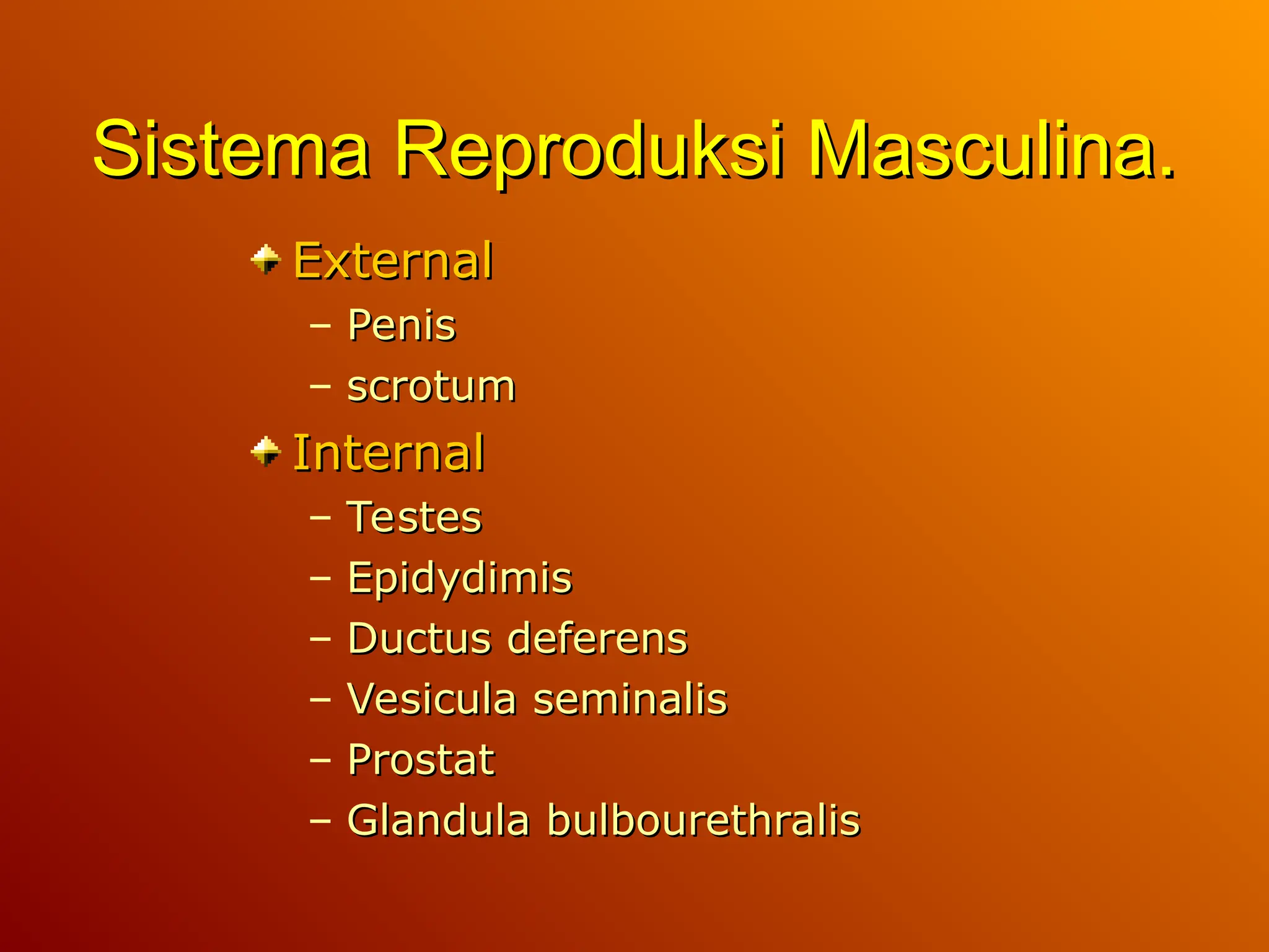 Reproduksi Masculina1273757737171771818118.ppt