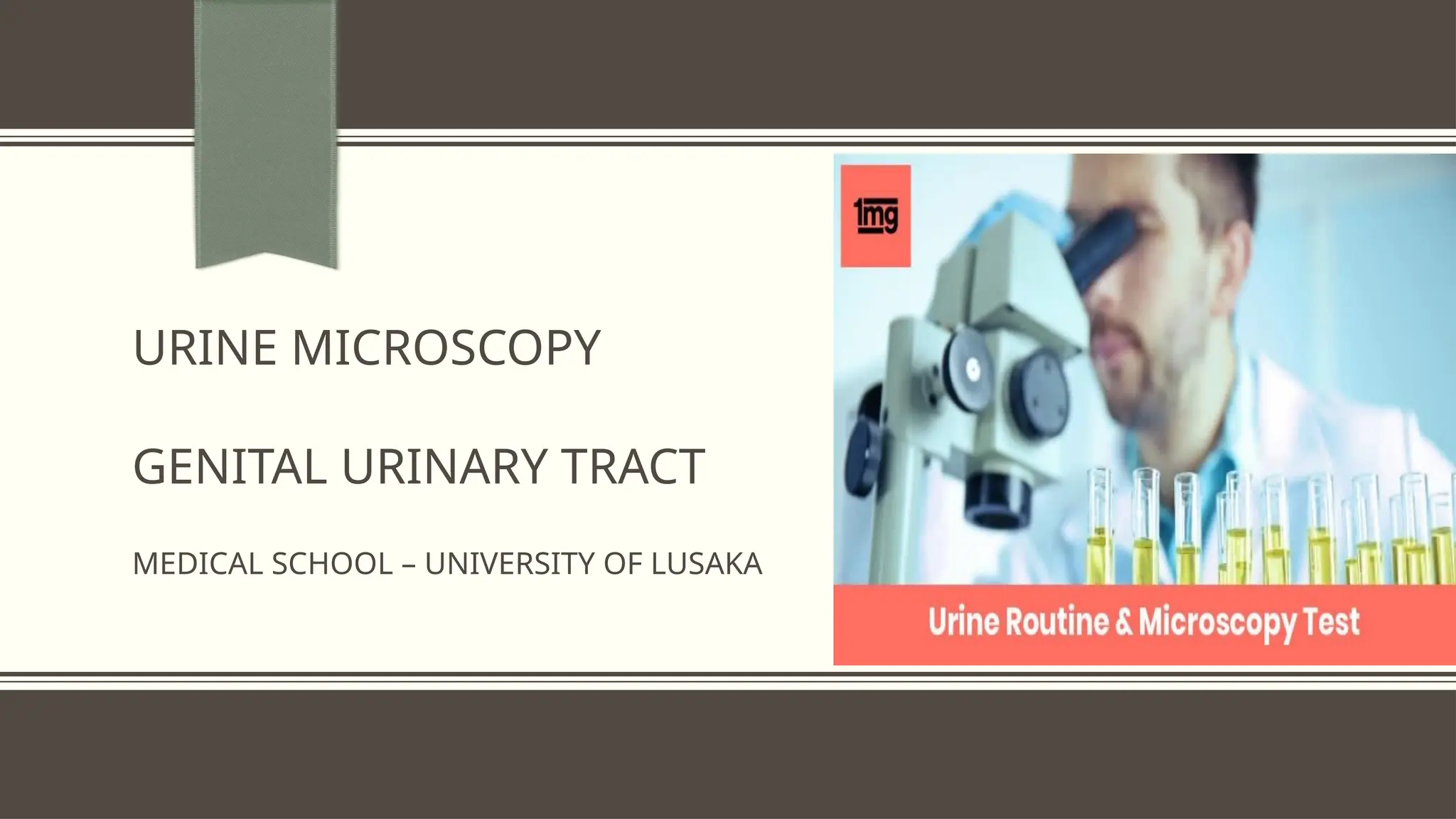 An in depth of a Urine microscopy and analysis.pptx