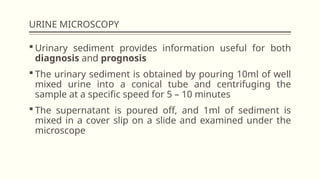 An in depth of a Urine microscopy and analysis.pptx