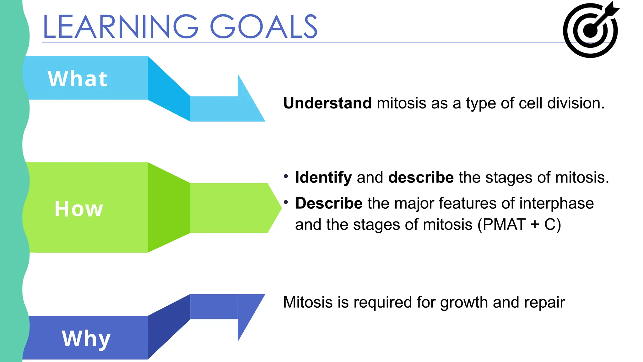 2. The Cell cycle and Mitosis.pptx powerpoint | PPTX