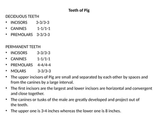 2. ppt ojdjssmsmslmsme ennrbsn teeth.pptx