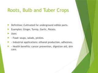Agronomic Crops:Types and uses,vegetable crops | PPTX