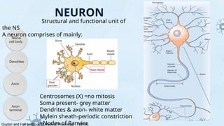 2. NEURO MUSCULAR physIOLOGY PRESENATTION | PPTX
