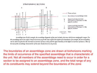 2. Stratigraphic classification India.pptx