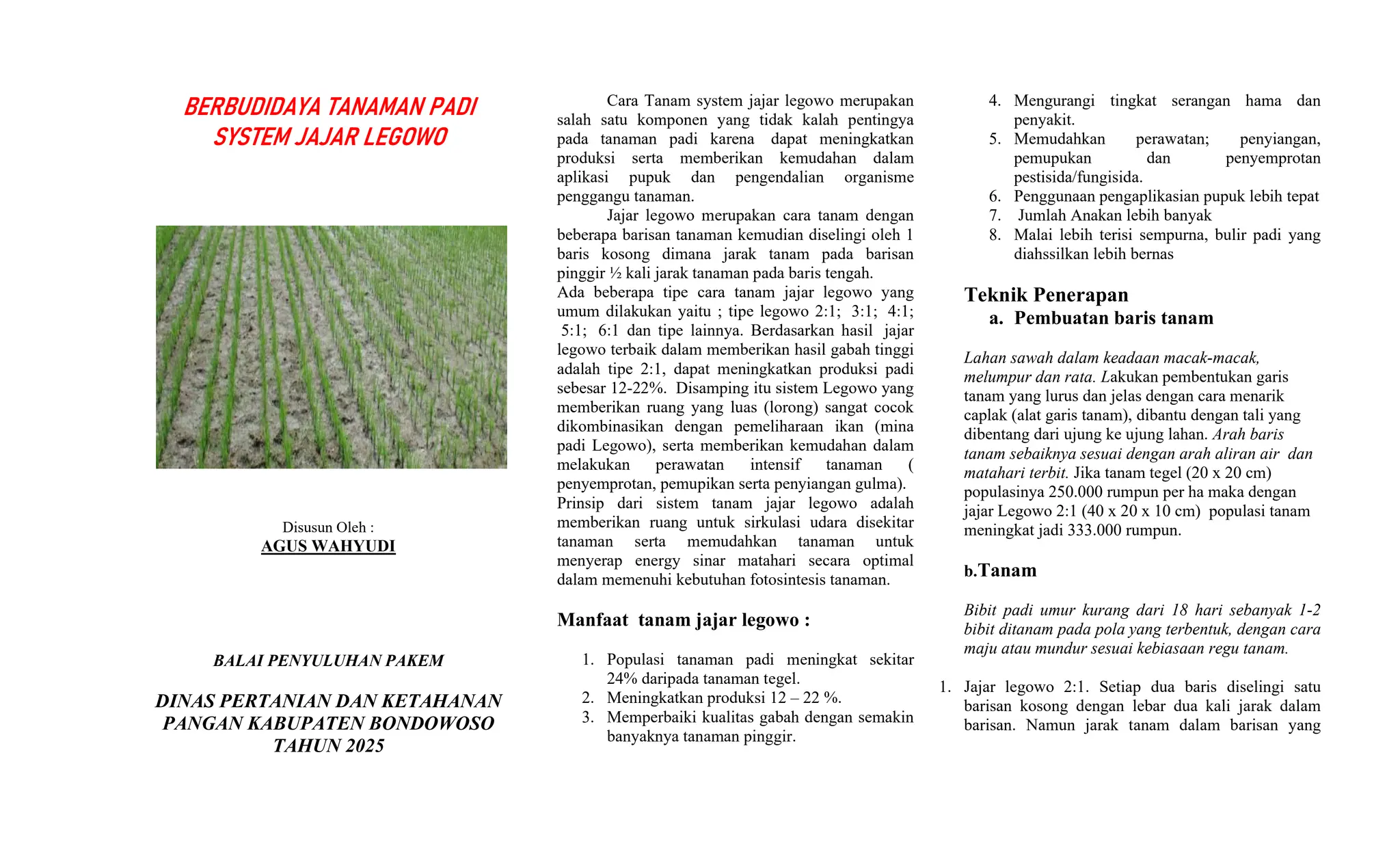 2. Jajar Legowo tanam dilahan dengan.pdf