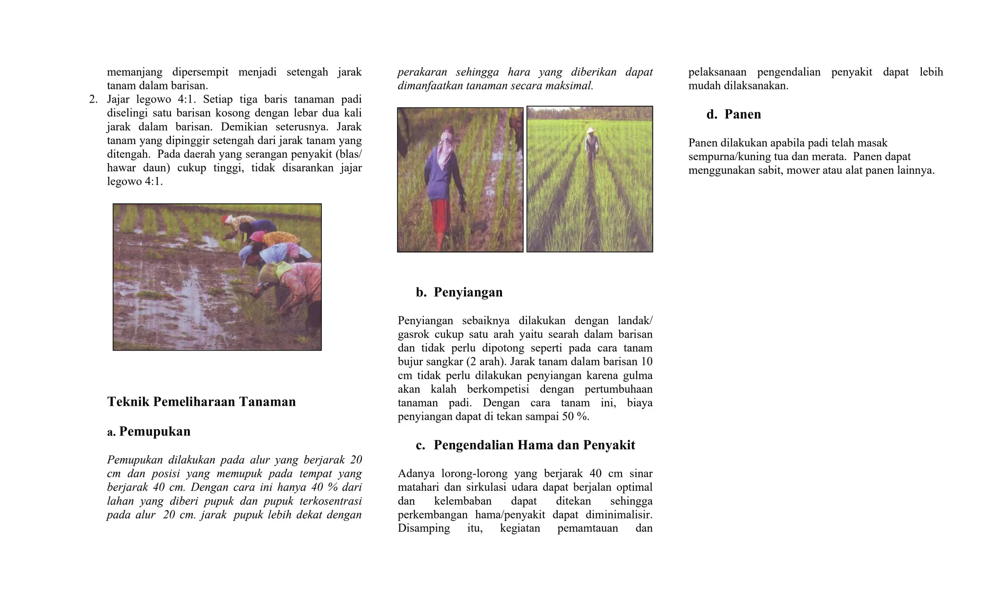 2. Jajar Legowo tanam dilahan dengan.pdf