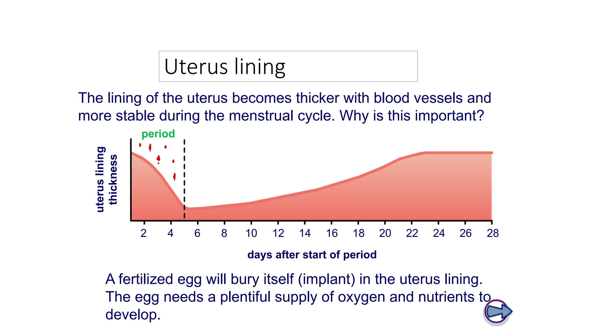 gynaecology education Normal pregnancy.pptx