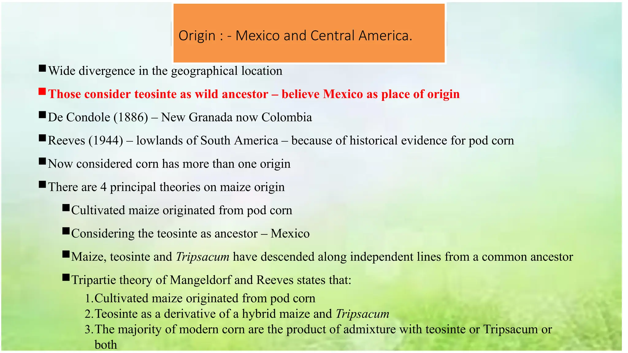 2. Maize.pptx - "Flint corn: Zea mays induratas "Dent corn: Zea mays ...