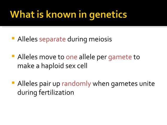 2 25 Punnett Squares | PPT