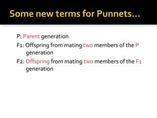 2 25 Punnett Squares | PPT