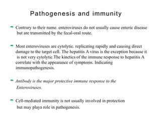 infoormation about virus called picornavirus.pptx
