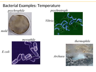 BACTERIAL AND MICROBIAL GROWTH REQUIREMENTS | PPT