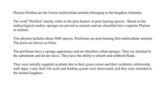 Porifera phylum introduction& basic concepts | PPTX