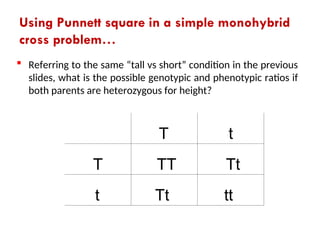 2.-Mendelian-Genetics.ppt hope this help | PPT