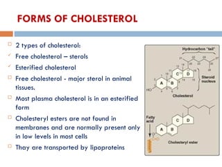2. cholesterol.pptrfbvfnfhfnggcgvggvgtggfhbg | PPT