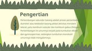 2. PPT PERKEMBANGAN SEKUNDER BATANG - ARI.pptx