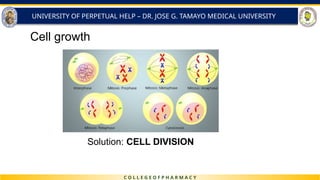 2.2 Cell Division - Genetics (1 ).pptx