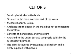 2. EXTERNAL AND INTERNAL FEMALE GENITALIA(Syn Vulva,Pudendum).pptx