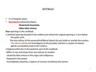 2. EXTERNAL AND INTERNAL FEMALE GENITALIA(Syn Vulva,Pudendum).pptx