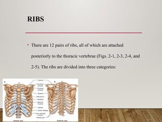 2. Typical and atypical ribs anatomy.pptx